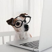 17 Clustering Algorithms Used In Data Science and Mining | by Mahmoud ...