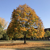 Let’s learn Fetch API aka. How to display Medium posts on a website ...