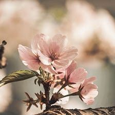 The most insightful stories about React - Medium