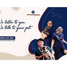Animal Doctors International – Medium
