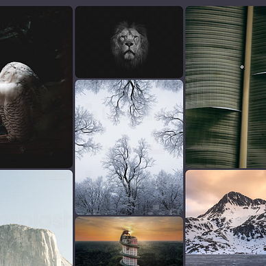 Obsidian Plugin Review — Obsidian Timelines | by Nuno Campos ...