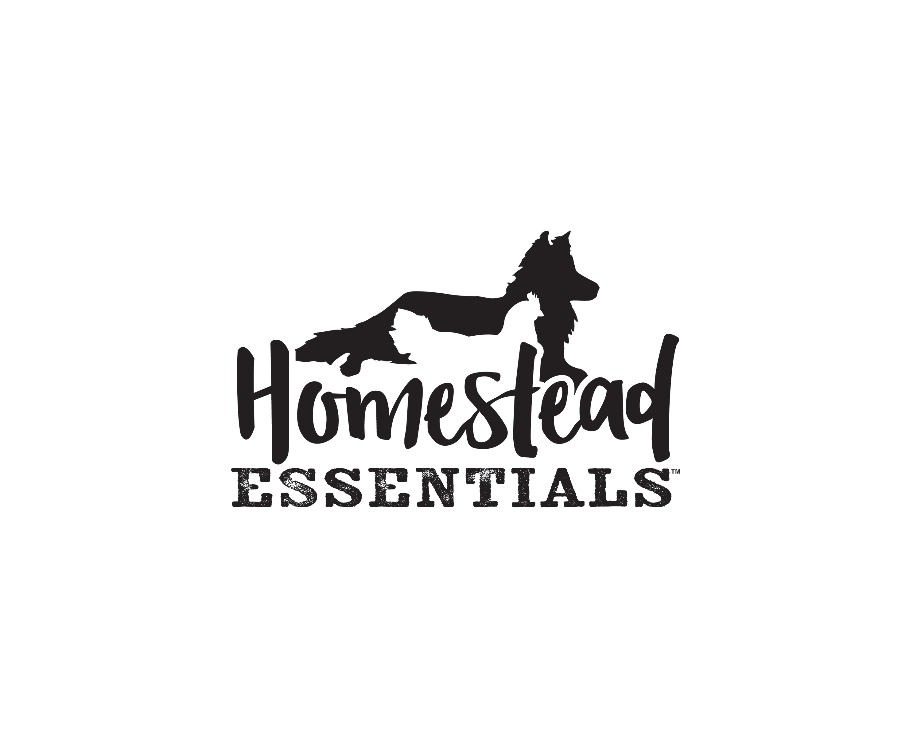 What Came First. The Chicken… Or The Egg? | by HOMESTEAD ESSENTIALS ...