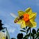 Week 6 -Research On Documentary Photographer - Michael Wolf | by Karen ...