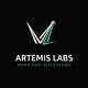 The New Classical Age of GraphQL: Project Artemis - Artemis Labs (Open ...