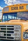 How To Overcome Blindspots And Spark Creativity With Curiosity | by Ron ...