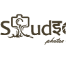 Studio Hari – Medium