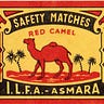camel in red – Medium