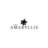 The Unity amaryllis – Medium