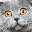 Fault Tolerance in a High Volume, Distributed System | by Netflix ...