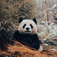Pandas vs SQL in 5 Examples. A comparison of the merge in Pandas and ...