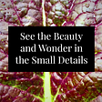 Coherent, Not Consistent. Consistency in UI Design is overvalued. | by ...