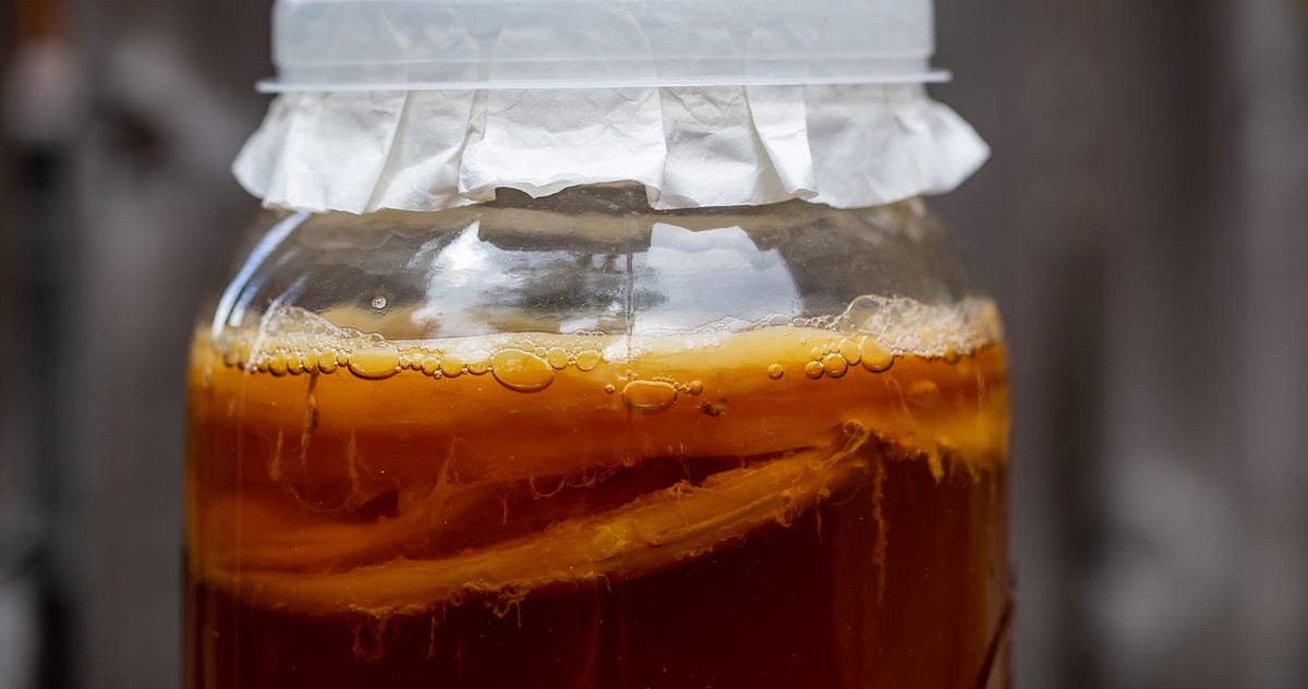 How to Make More Kombucha Than You’ll Know What to Do With | by Jackson ...