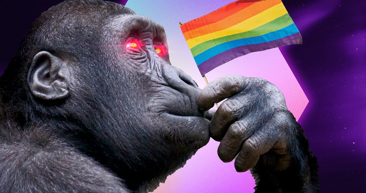 Token Queers: LGBTQ+ Pride, gay greed, and the Blockchain | by John ...