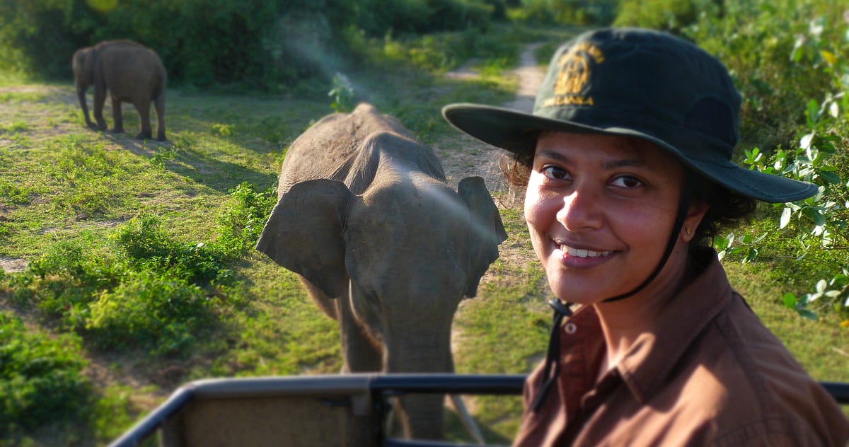 Social Impact Heroes: Why & How Dr. Shermin de Silva of ‘Trunks ...
