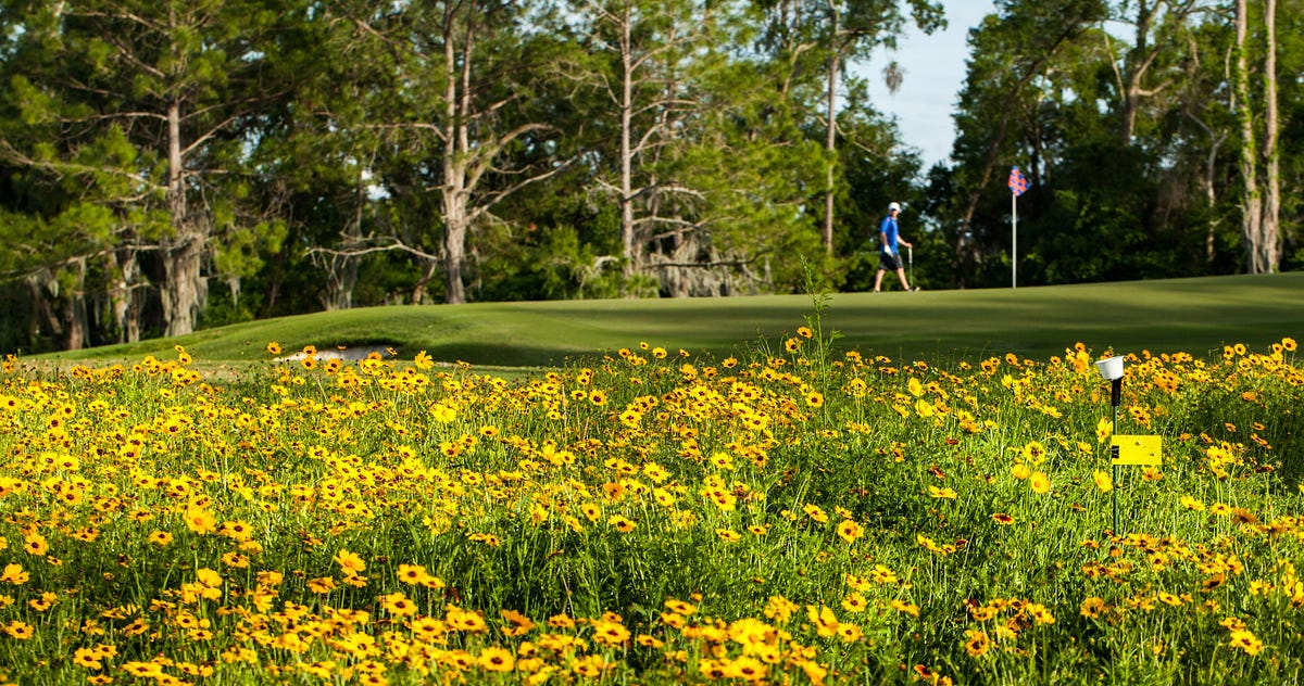 Golf Courses as a Source of Habitat Conservation in the Urban Landscape ...