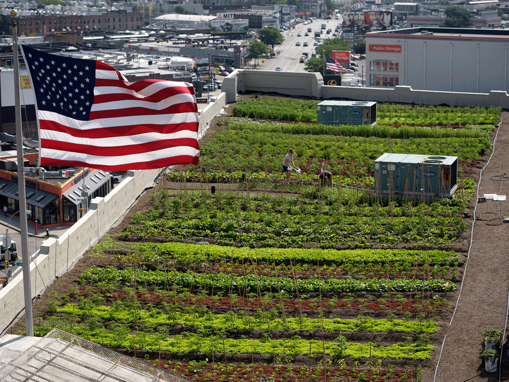 City Slicker to Farmer — How Urban Farming is Transforming U.S. Cities ...