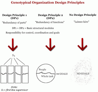 ORGANIZATIONAL DESIGN PRINCIPLES (Part 1) | by Juan Carlos Wandemberg ...