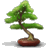 Paul Waide – Medium