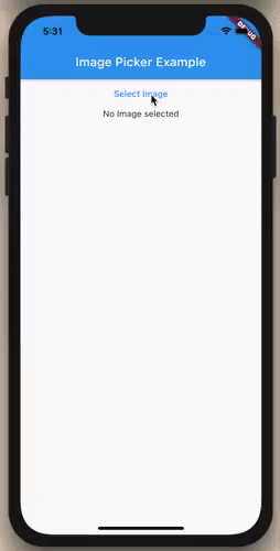 Flutter tutorial— Image Picker — Picking photos from camera or photo gallery | by Itchybumr | Medium