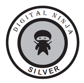 Digital Ninjas — a force for good | by Joseph Pakenham | Medium