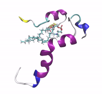 Enzyme is a Wonder while Enzyme engineering is a Miracle! | by Kumudha ...