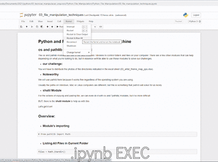 Manipulating Files With Python. Manage Your Lovely Photos With Python… | by J3 | Jungletronics ...