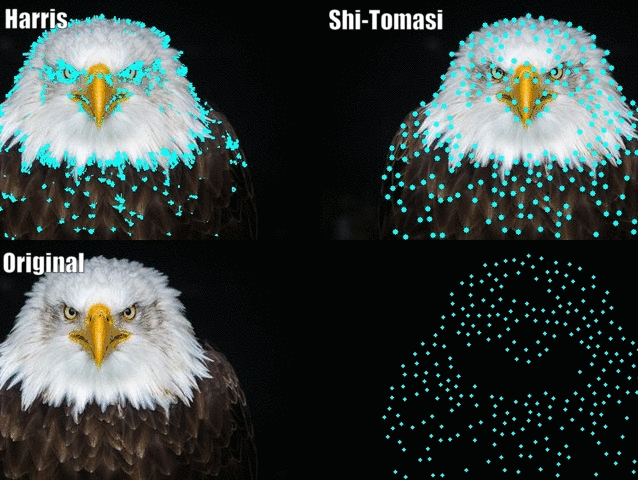 Harris Corner Detection and Shi-Tomasi Corner Detection | by Nisha Gandhi | Pixel-wise | Medium