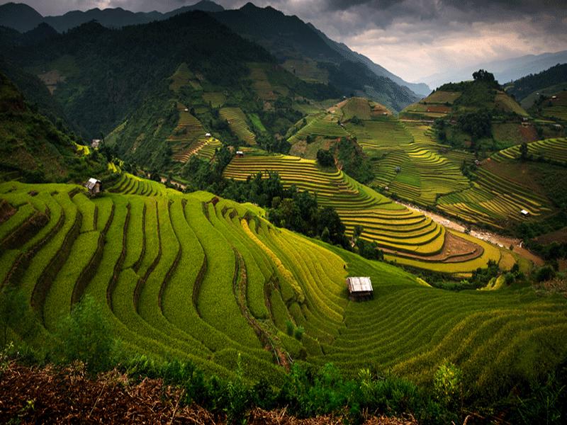 10 Markets Why you should visit in Sapa | by Nhi Nguyễn Hoài | Medium