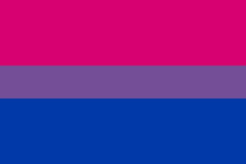 All Pride Flags and Names. All Pride Flags and Their Names: Pride… | by ...