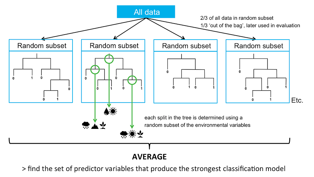 Classification Methods in Machine Learning | by Jorge Leonel | Medium
