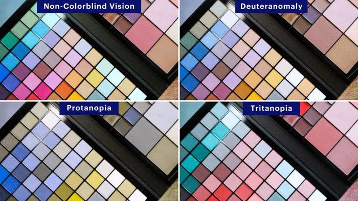 Coding with Visual Impairment. About 5%-10% of Americans display… | by ...