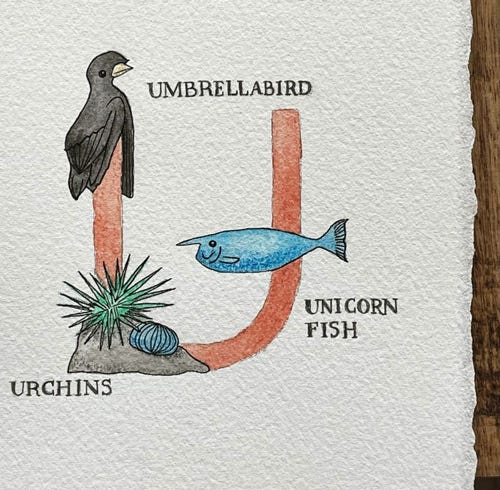 Illustrating the Animal Alphabet. I had always wanted to illustrate the ...