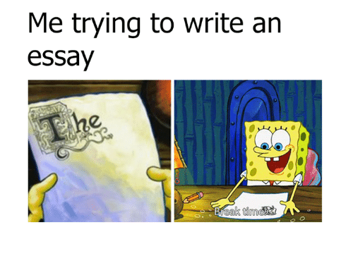 Essay #1 Reflection. I feel that I made good progress from… | by Kiley ...
