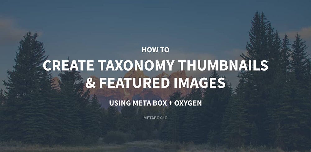 How to Create Taxonomy Thumbnails & Featured Images — P2 — Using Meta Box and Oxygen | by ...