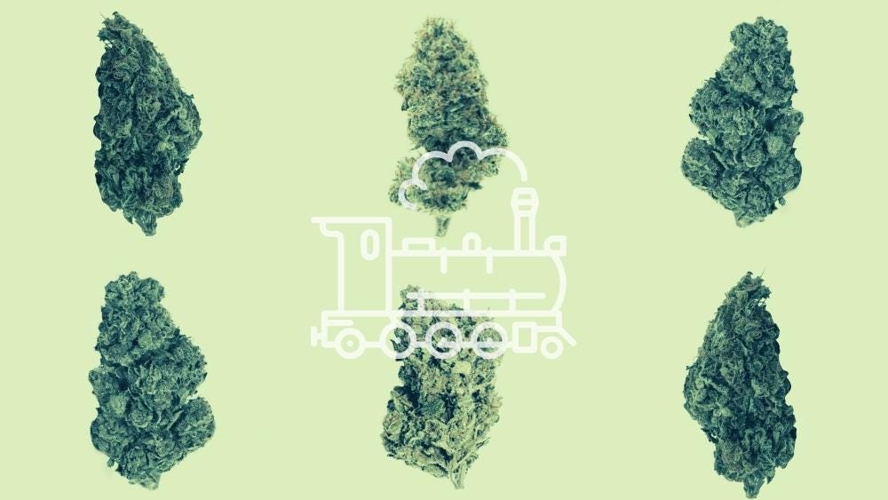 Best Strains of Weed: Ghost Train Haze | by Adam Adman | Medium