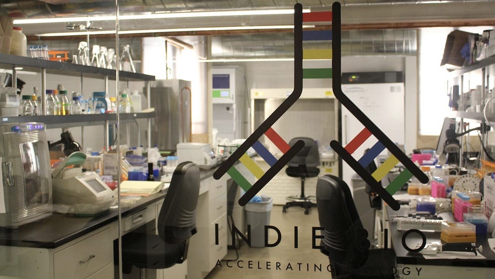 Video Spotlight: IndieBio Turns Scientists Into Entrepreneurs | by ...