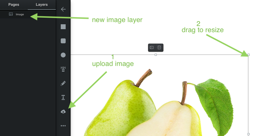 You Too Can Animate: SVG Line Animation | by Max Oppenheimer | Medium
