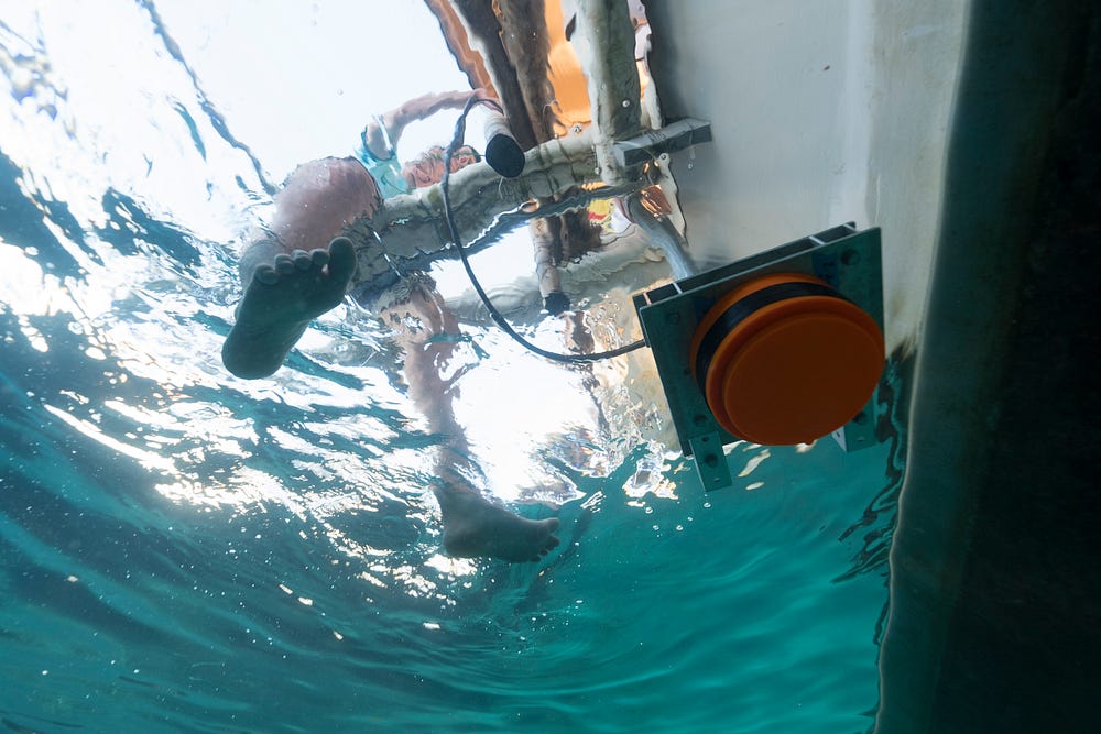 This is the future of fishing. Tech innovation and ocean conservation ...