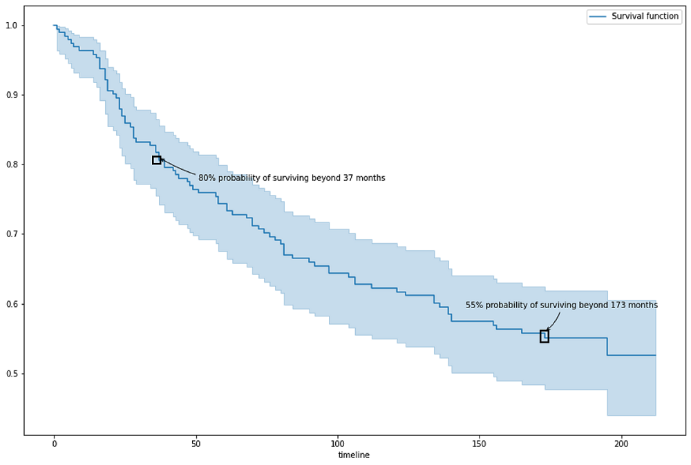 Deepweisurv A Deep Learning Approach For Survival Analysis With