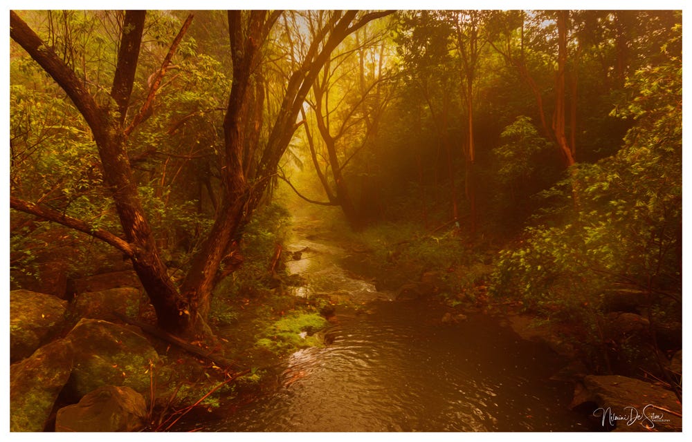 The Smell of Spring - Eco-living Journeys - Medium