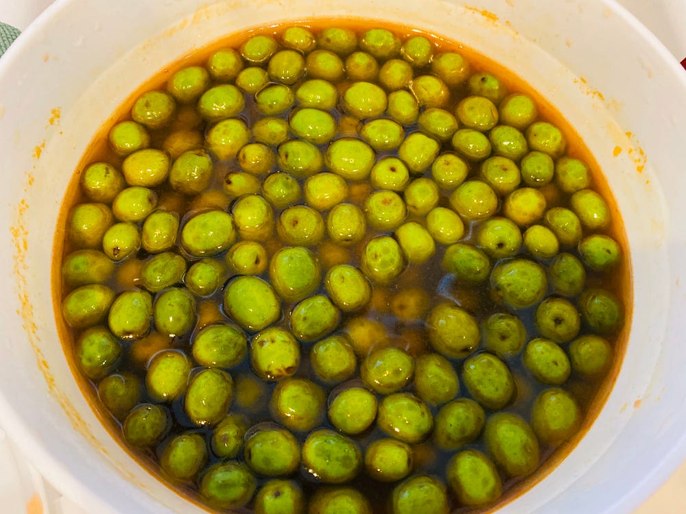An Adventure in Olive Picking and Curing | by Robert McKeon Aloe ...