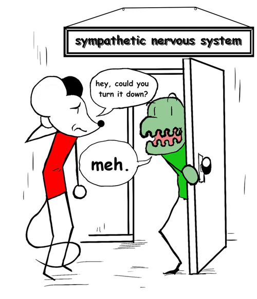 My Anxiety Mouse. How to deal with that feeling of fear | by LifeClub ...