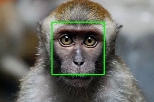 Face Detection Using Opencv With Haar Cascade Classifiers By Vincent Tabora Becoming Human