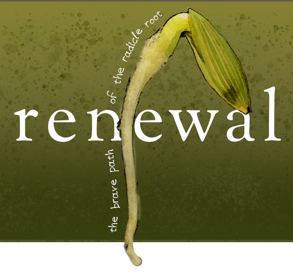 The Semantics of Seeds. The landscape of change | by Constance Mears ...