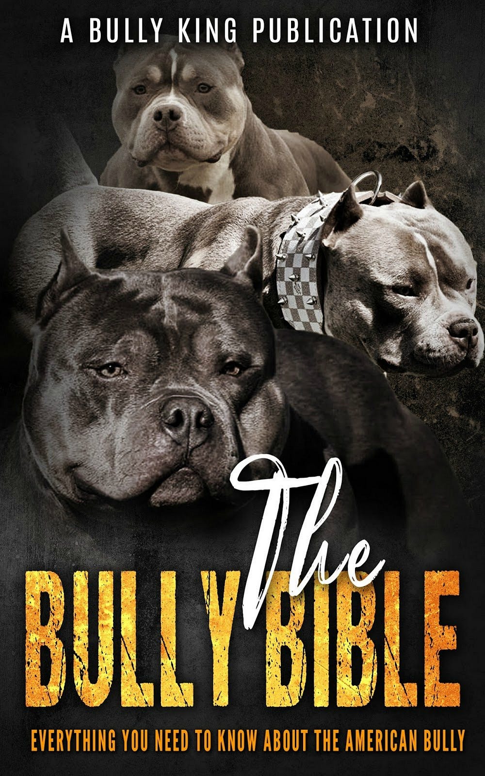 THE #1 INTERNATIONALLY DISTRIBUTED BULLY BREED LIFESTYLE MAGAZINE | by ...