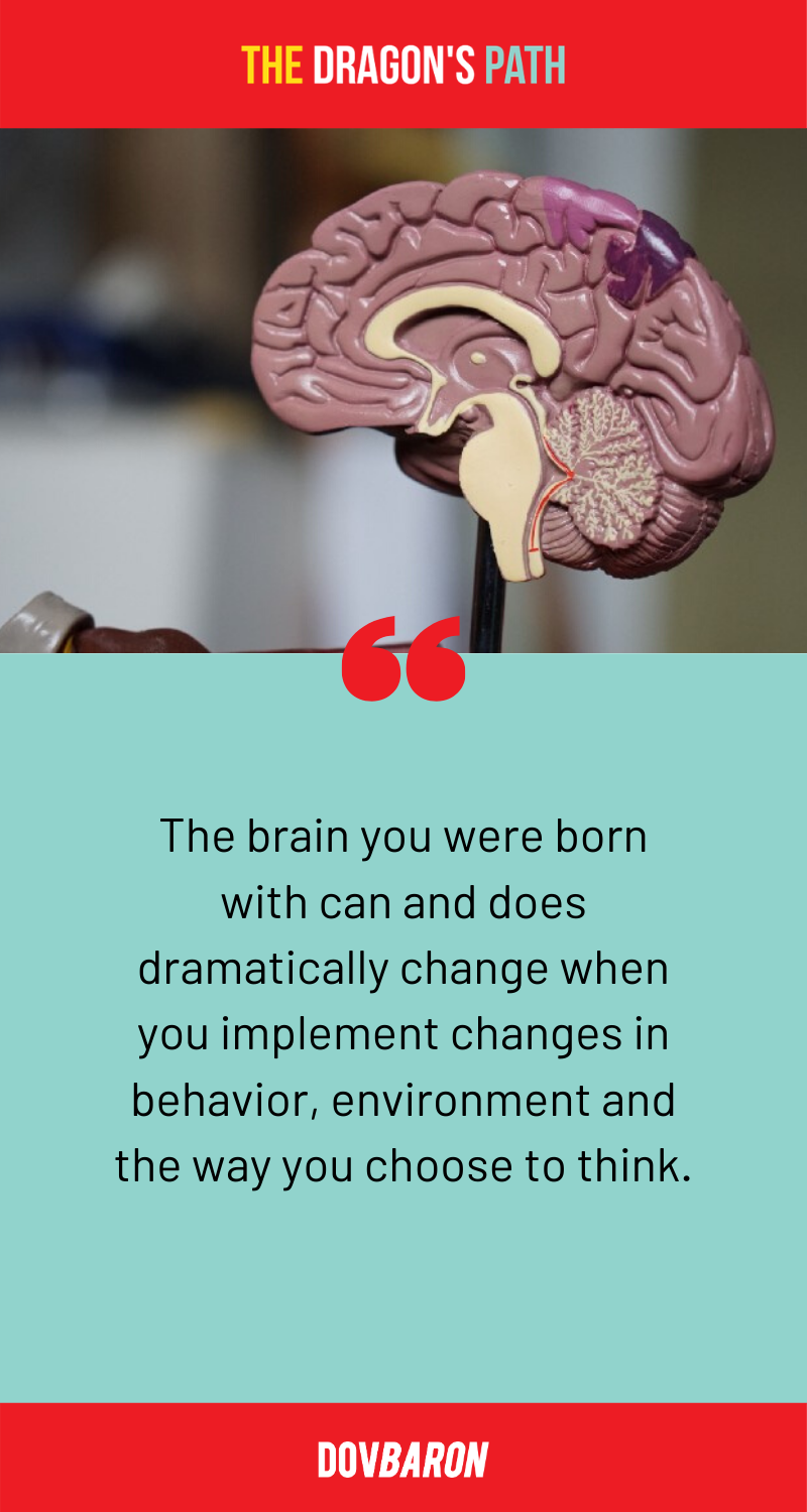 Leadership Development and Brain Science | by @TheDovBaron | The ...