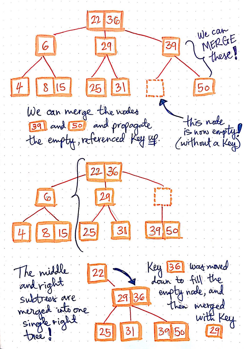 Busying Oneself With B-Trees. If you spend enough time thinking about ...