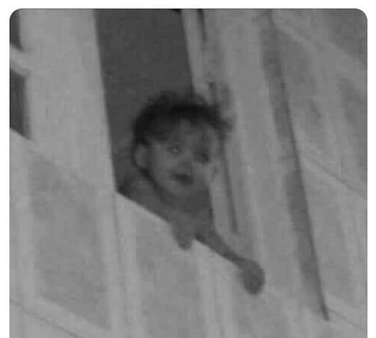 Viral: What The Baby/Window Picture Says About You According to Harvard ...