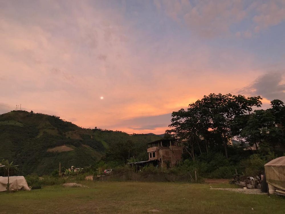 Palanda, the origin of flavor. Within half hectare of archaeological ...