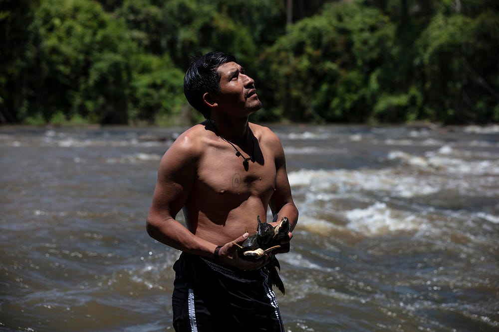 The Amazon River: In our hands. By David Tickner, WWF-UK Chief Advisor ...
